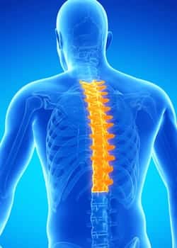 Back & Neck Pain Treatment | Charlotte, NC - Keith Clinic Chiropractic